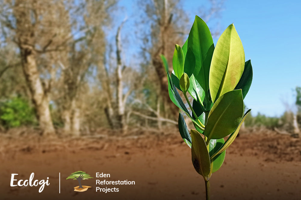 Winterbottom's Schoolwear | Premium Quality Wholesale Schoolwear